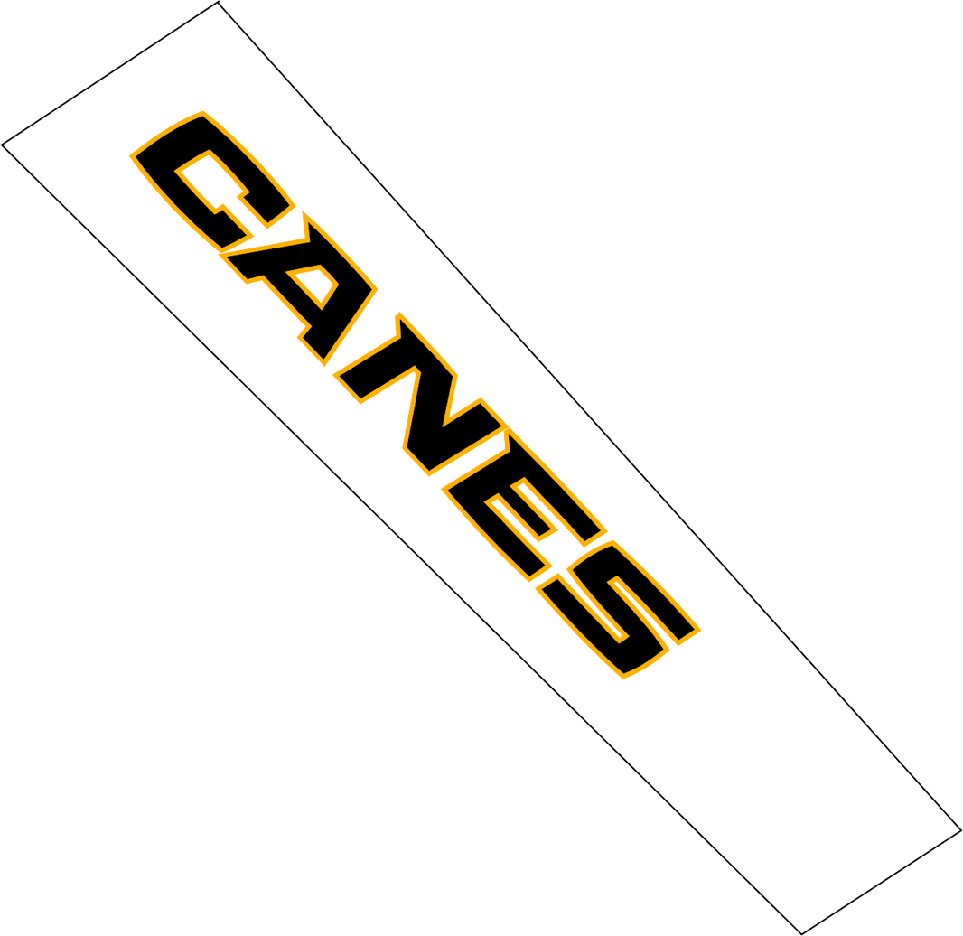 Canes Apparel Store – The Canes Store